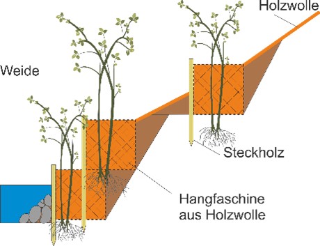 Projekt Faschinen aus Holzwolle für nachhaltige Hang- und Ufersicherung